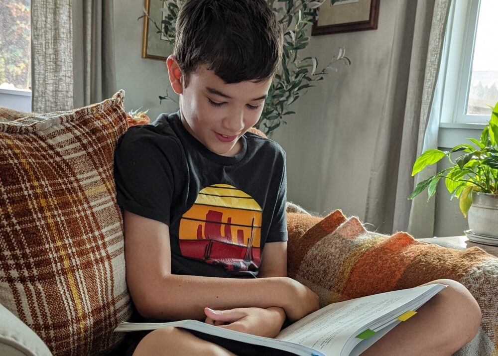 Homeschooling the Dyslexic Child - Rapier Books